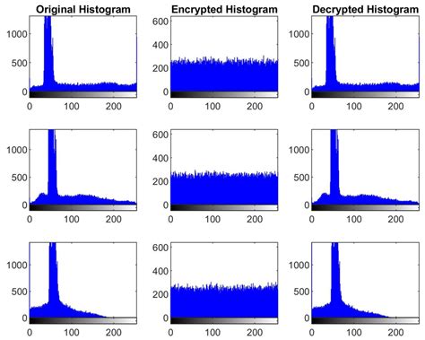 The Plain Ciphered And Deciphered King Tut Images Are Shown In A Download Scientific