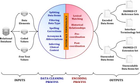 An Overview Of The Snomed Ct Encoding Method Download Scientific Diagram
