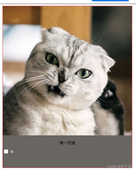javascript实现简易轮播图 csdn博客