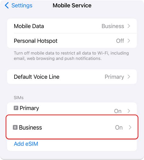 How To Fix Ios No Net Issue Saily Help Center