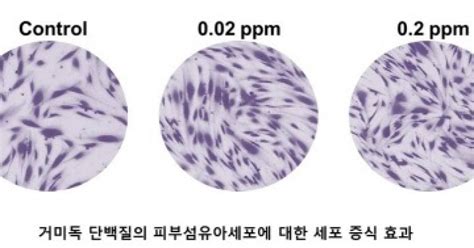넥스젠바이오텍 거미독 단백질 신소재 국내 최초 개발