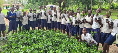 List Of Tree Species In Project Plant To Stop Poverty Tz Tree Nation