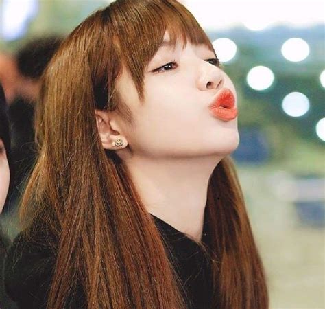 Lalisa Wiki Lisa Br Amino