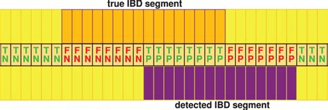 Evaluation Of Ibd Detection Methods Each Column Is An Snv The Upper