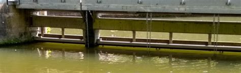 Rashmi Rao Mba On Linkedin No Ladder Not Even A ‘broken Rung