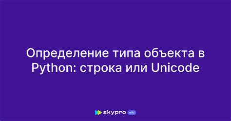 Определение типа объекта в Python строка или Unicode