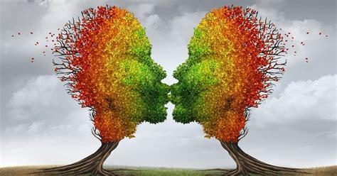 Top Myths About Sex And Aging Renew Health And Wellness