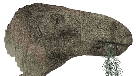 Uks Most Complete Dinosaur Fossil In A Century Reveals New Species Cnn