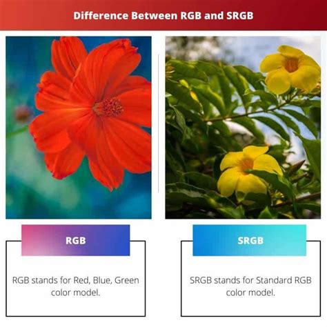 RGB Vs SRGB Difference And Comparison