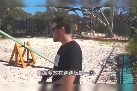 铁球从45米高空抛下，砸到跷跷板上会怎样？结局让人太意外了 跷跷板 结局 高空