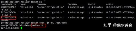 Docker Compose搭建redis704高可用一主二从三哨兵集群并整合springboot 知乎 Docker Compose搭建redis704高可用一主二从三哨兵集群并整合springboot 知乎