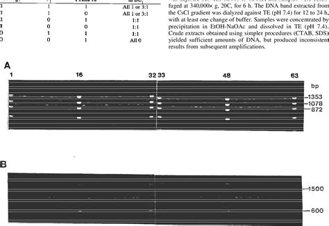 figure 1 from inheritance of random amplified polymorphic dna rapd