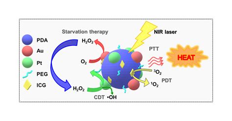 Biomimetic Nanoreactor For Cancer Eradication Via Winwin Cooperation