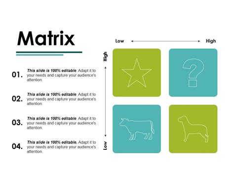 Matrix Ppt Powerpoint Presentation Inspiration Infographic Template