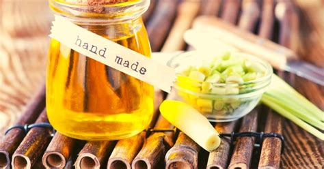 List Best Lemongrass Essential Oil Uses 12 Ways To Use And Recipes