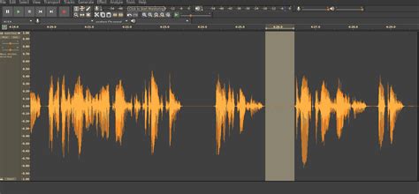 Macroautomation For Selecting Periods Of Silence To Replace With Room