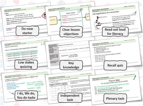 Magnification Calculations Ks3 4 Complete Lesson Cell Biology Teaching Resources