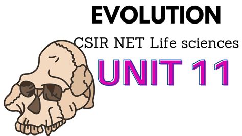 CSIR NET Life Science Unit Evolution YouTube