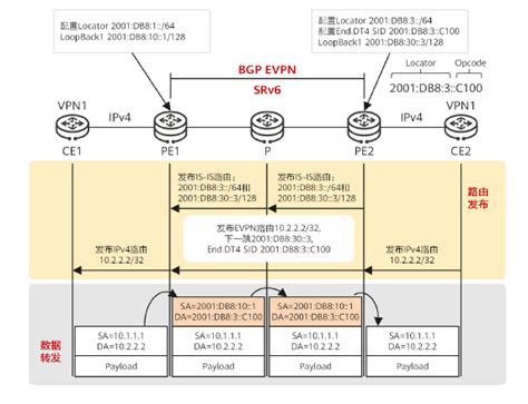Srv6学习 Lk233s Blog