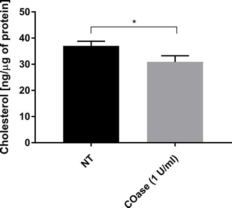 Spot Variation Fluorescence Correlation Spectroscopy For Analysis Of Molecular Diffusion At The