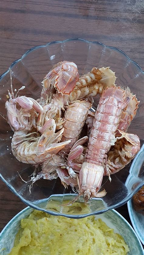 大虾爬子 虾爬子饺子 虾爬子 第9页 大山谷图库