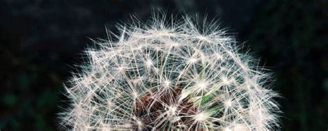 How To Improve Growth Mindset And Metacognition Together