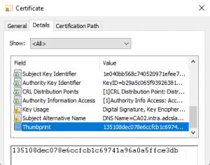 Identifying The Active Remote Desktop RDP Certificate Uwe Gradenegger