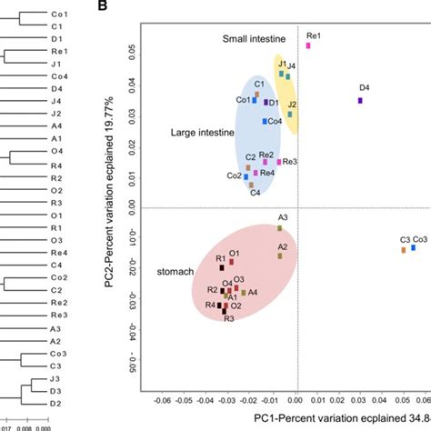 Comparisons Of Microbiota Communities Across Different Git Regions In
