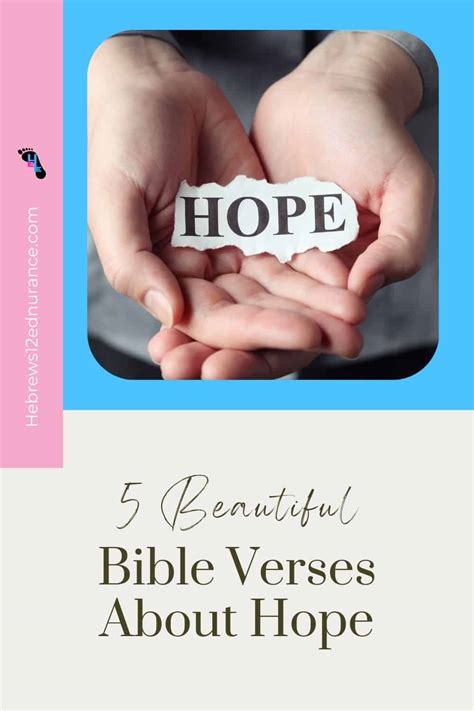 5 Beautiful Bible Verses About Hope To Strengthen Your Faith Hebrews
