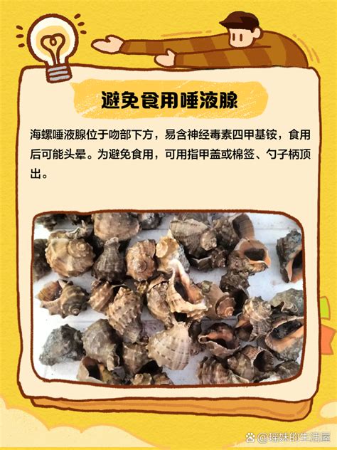 海螺部位图解，哪些不能吃？