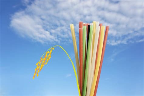 카페에 부는 녹색 바람 이색 친환경 빨대 세상을 바라보는 열린신문 아시아헤럴드