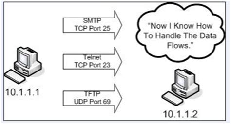 Computer Networks Need Of Port Number In Networking