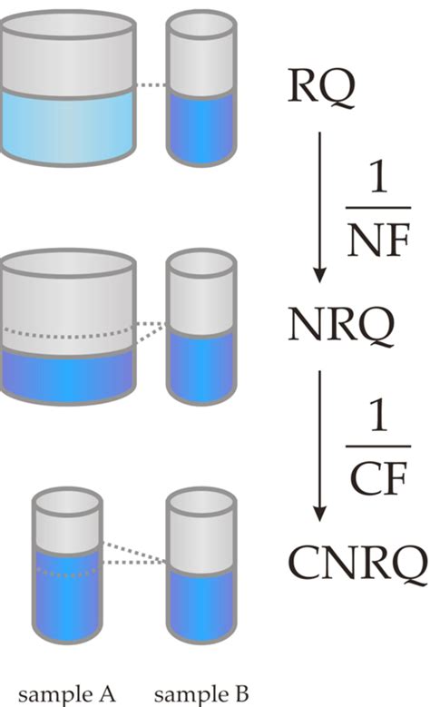 Pcr Troubleshooting And Optimization Figure