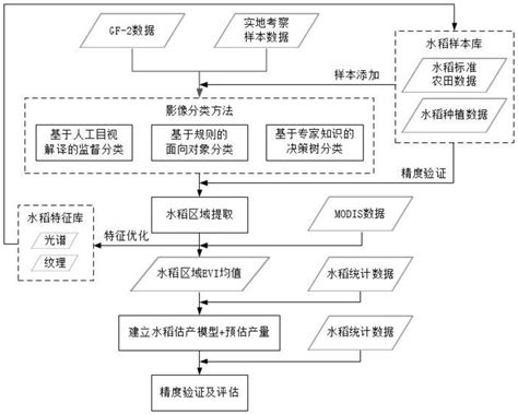 Rice Yield Estimation Method Combining Satellite Image And Modis Data Eureka Patsnap