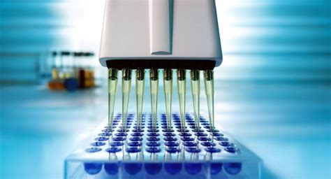 How To Design Primers And Probes For Pcr And Qpcr Idt