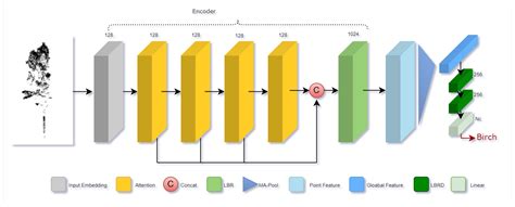 Classification Of Individual Tree Species Using Uav Lidar Based On Transformer