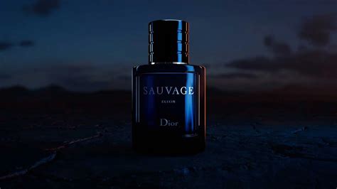 Parfum Pour Homme Sauvage Elixir