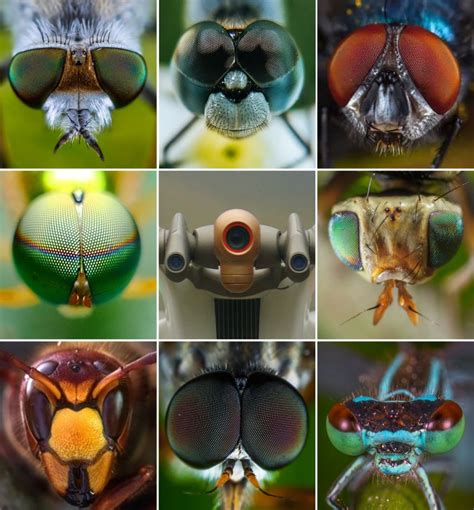 Robert Schauer On Linkedin Soon And Then Our Brains Will Explode