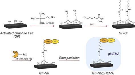 Figure 1 From A Strategy For Accessing Nanobody Based Electrochemical