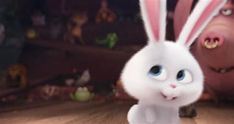 Зайчик из тайная жизнь домашних животных картинки Фотоподборки 1