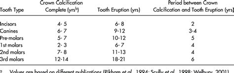 Approximate Values For Tooth Calcification And Eruption In Permanent Download Table