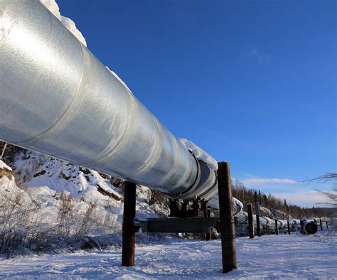 Terrestrial Applications Alcatel Submarine Networks