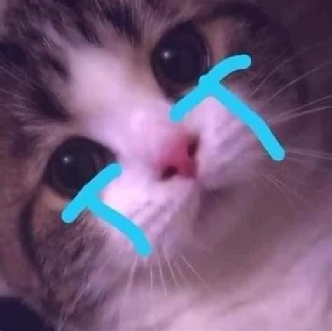 โพสต์ ของ Plemon8 โพสต์ ของ Plemon8