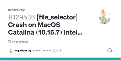 Fileselector Crash On Macos Catalina 10157 Intel Chip · Issue 129536 · Flutterflutter