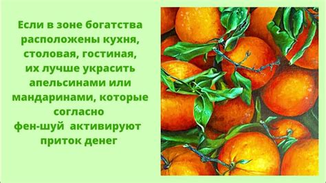 Сектор богатства в фен шуй Youtube