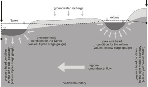 Scheme Of Water Flow Boundary Conditions Used In The D Model Download Scientific Diagram