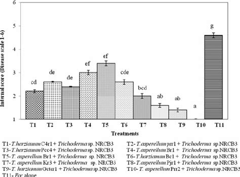 Effect Of Combined Application Of Endophytic Trichoderma Isolates And Download Scientific