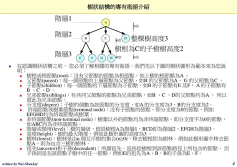 PPT 第五章 樹狀結構導論 Tree PowerPoint Presentation ID