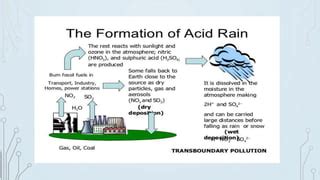 Eco 6 Soil Formation PPTX