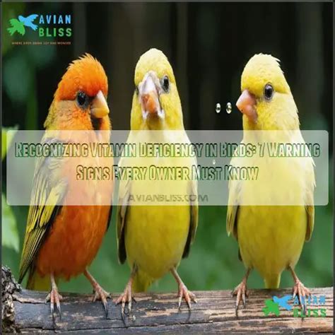 Recognizing Vitamin Deficiency In Birds 7 Warning Signs Every Owner Must Know